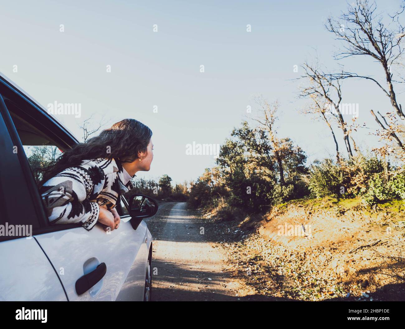 Road trees female car window hi-res stock photography and images - Alamy