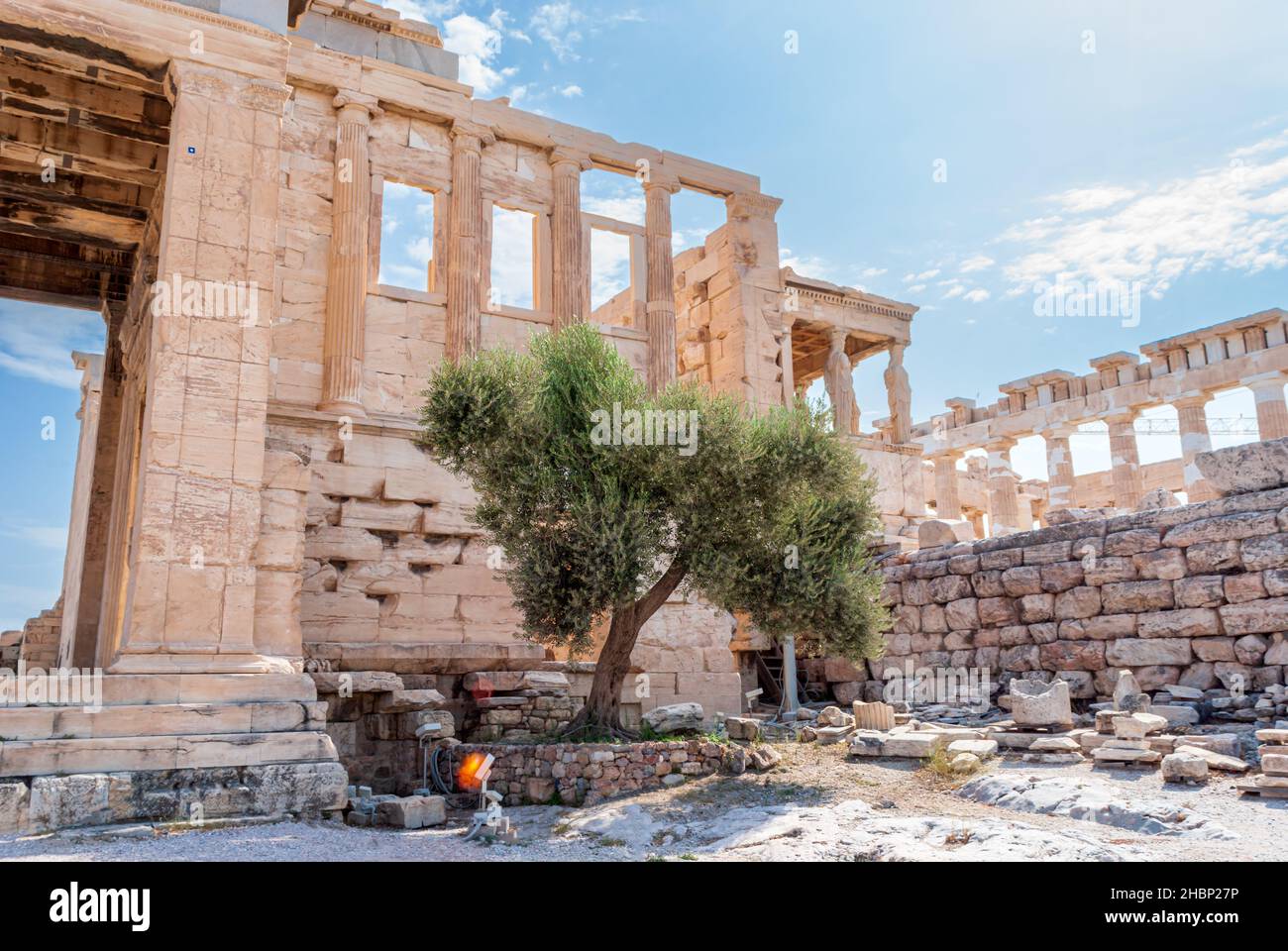 Olive tree near ancient temple of Erechtheion in Athens Acropolis Stock ...