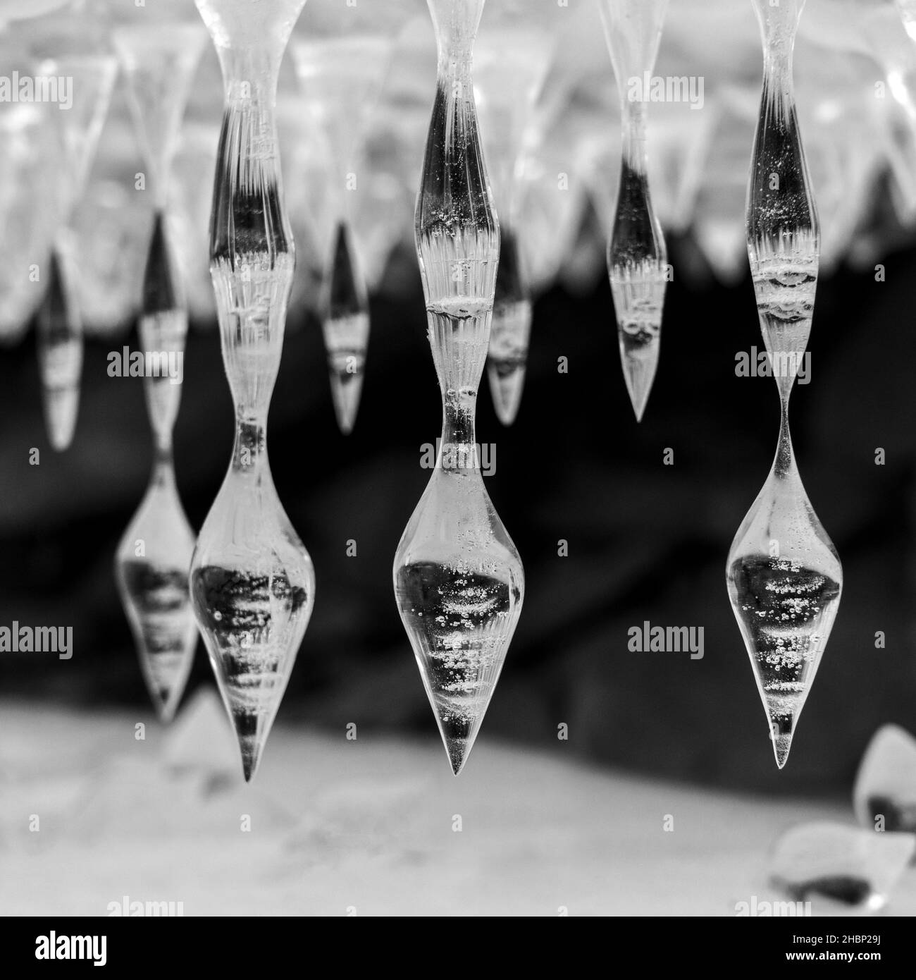 Sharp close hi-res stock photography and images - Alamy