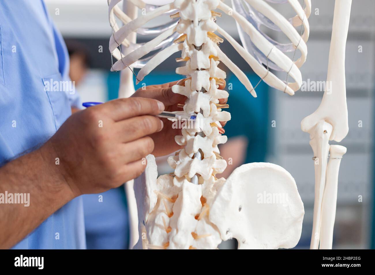 Close up of nurse pointing at spine bones on human skeleton to explain ...