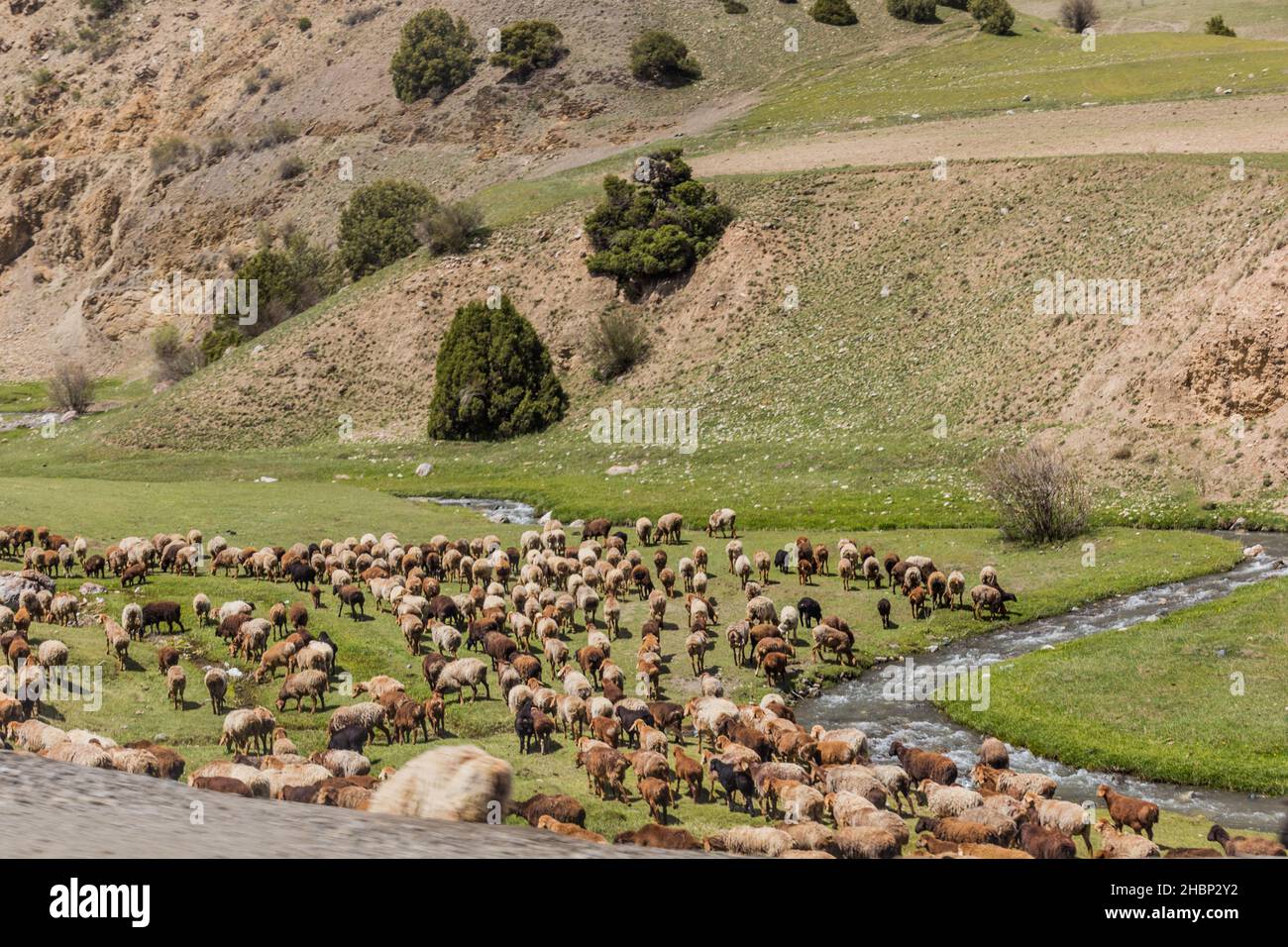 Turkestan range hi-res stock photography and images - Alamy