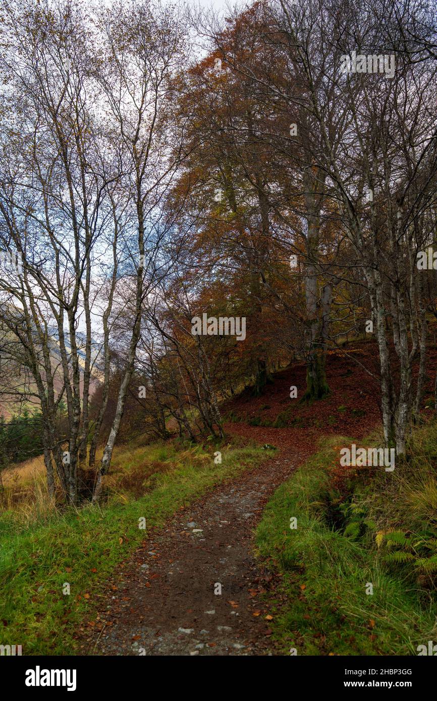 Corpach and Ben Nevis, Fort William, Highland, Scotland, UK Stock Photo - Alamy