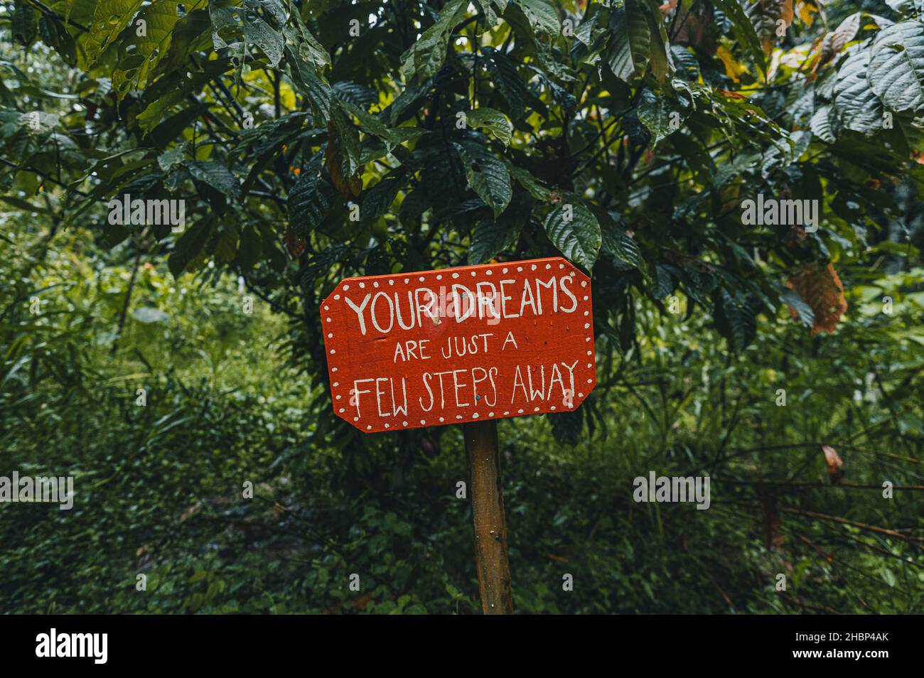 A motivational quote in the plantation field in spring Stock Photo - Alamy
