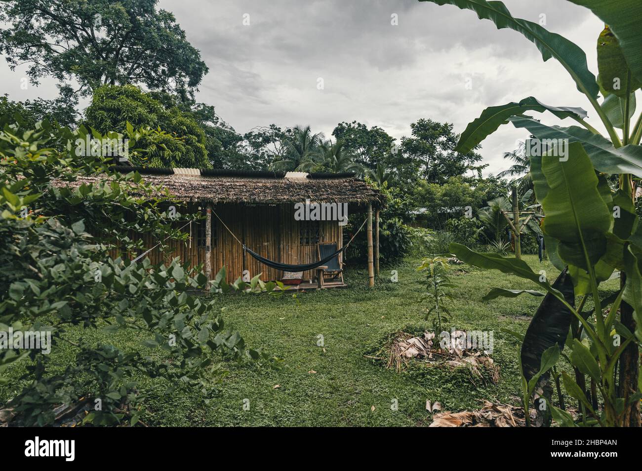 A small house in the green plantation field in Punta Mona, Costa Rica ...