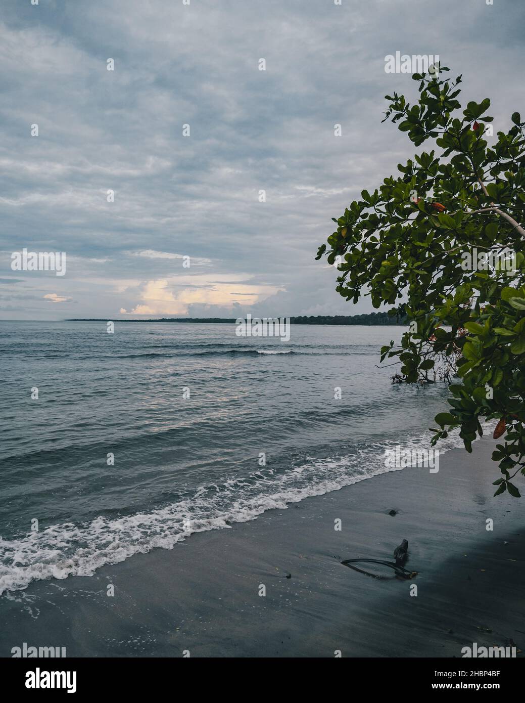 Punta mona costa rica hi-res stock photography and images - Alamy