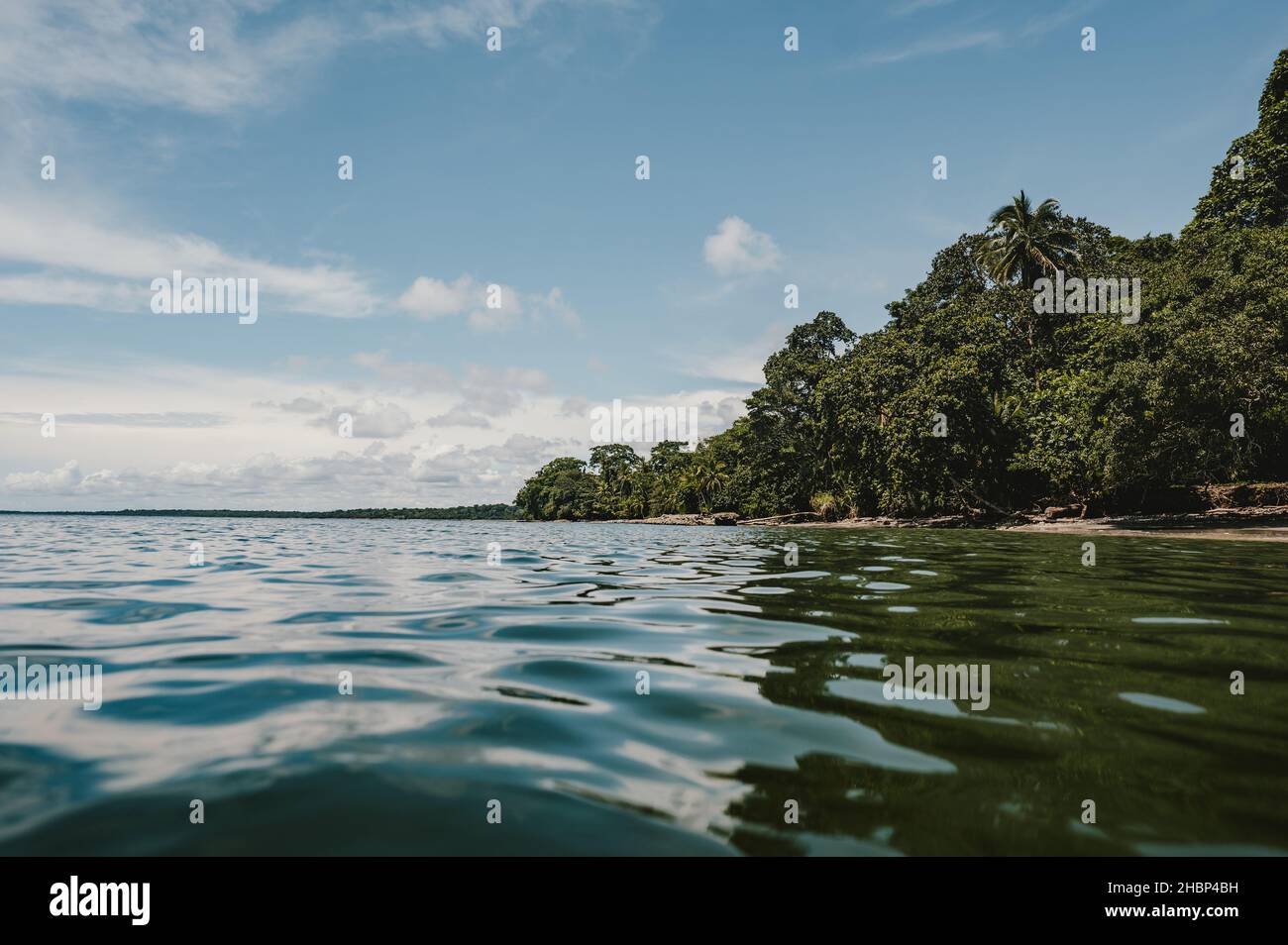 Punta mona costa rica hi-res stock photography and images - Alamy