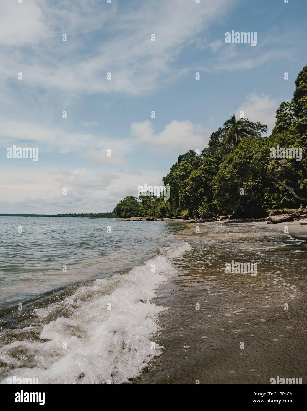 Punta mona costa rica hi-res stock photography and images - Alamy