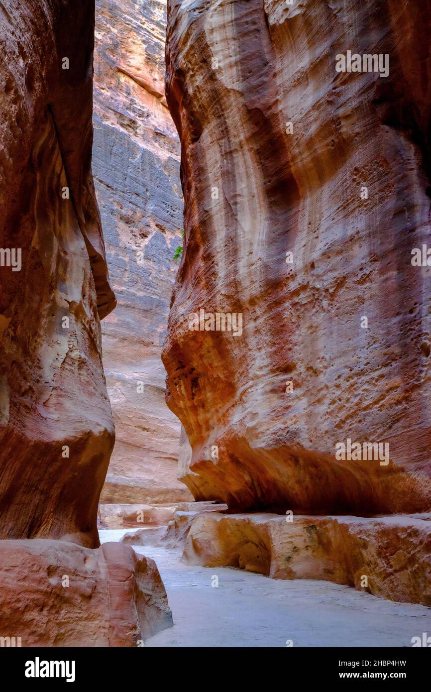 A vertical shot of a narrow pathway between huge rocks in Petra, Jordan ...