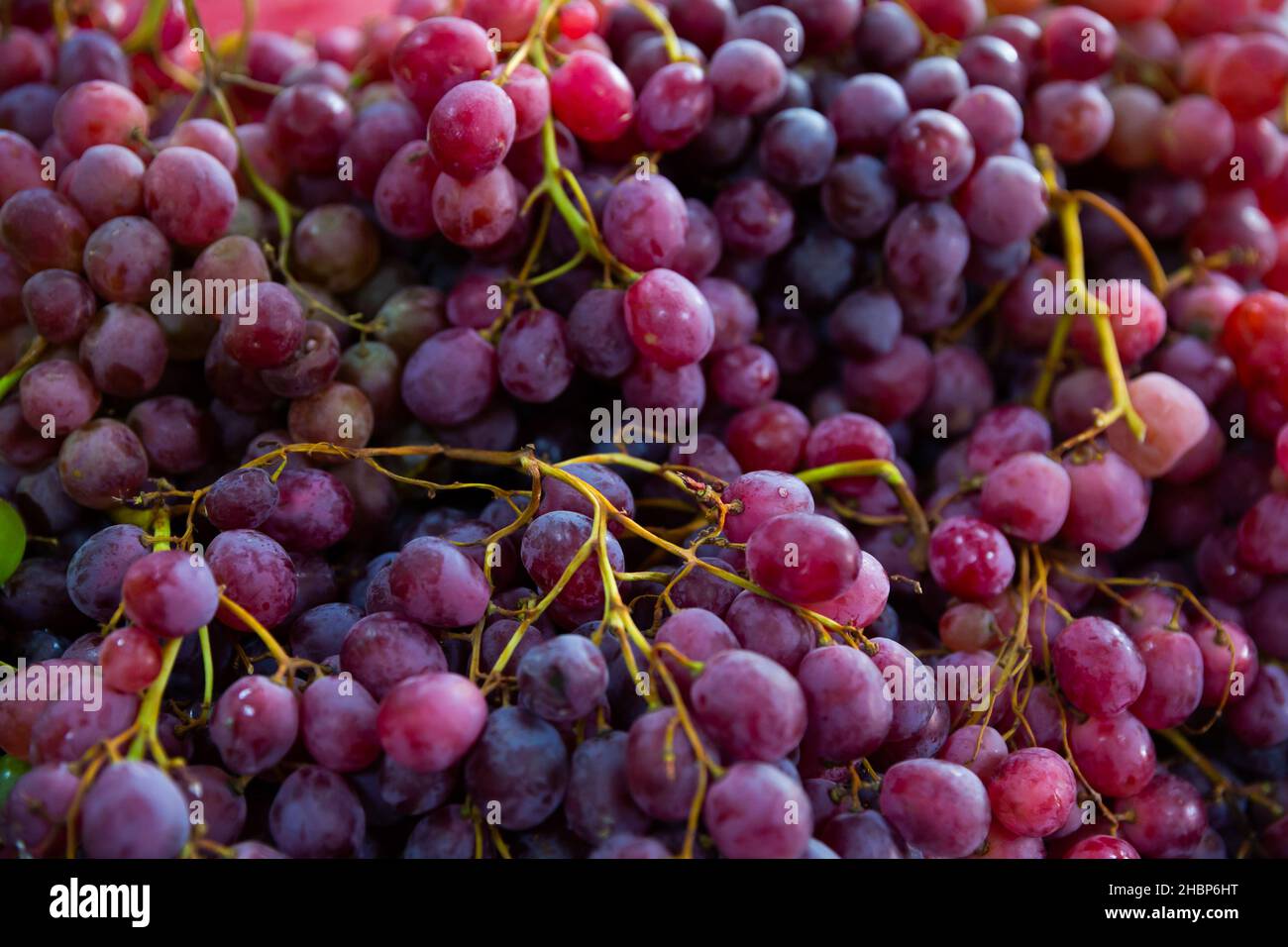 Fresh bunches grapes on counter in food market Stock Photo - Alamy