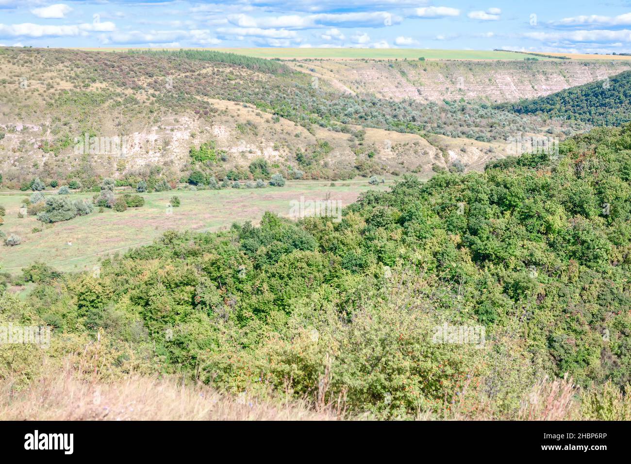 Landscape with hills and forest . Green nature scenery Stock Photo - Alamy