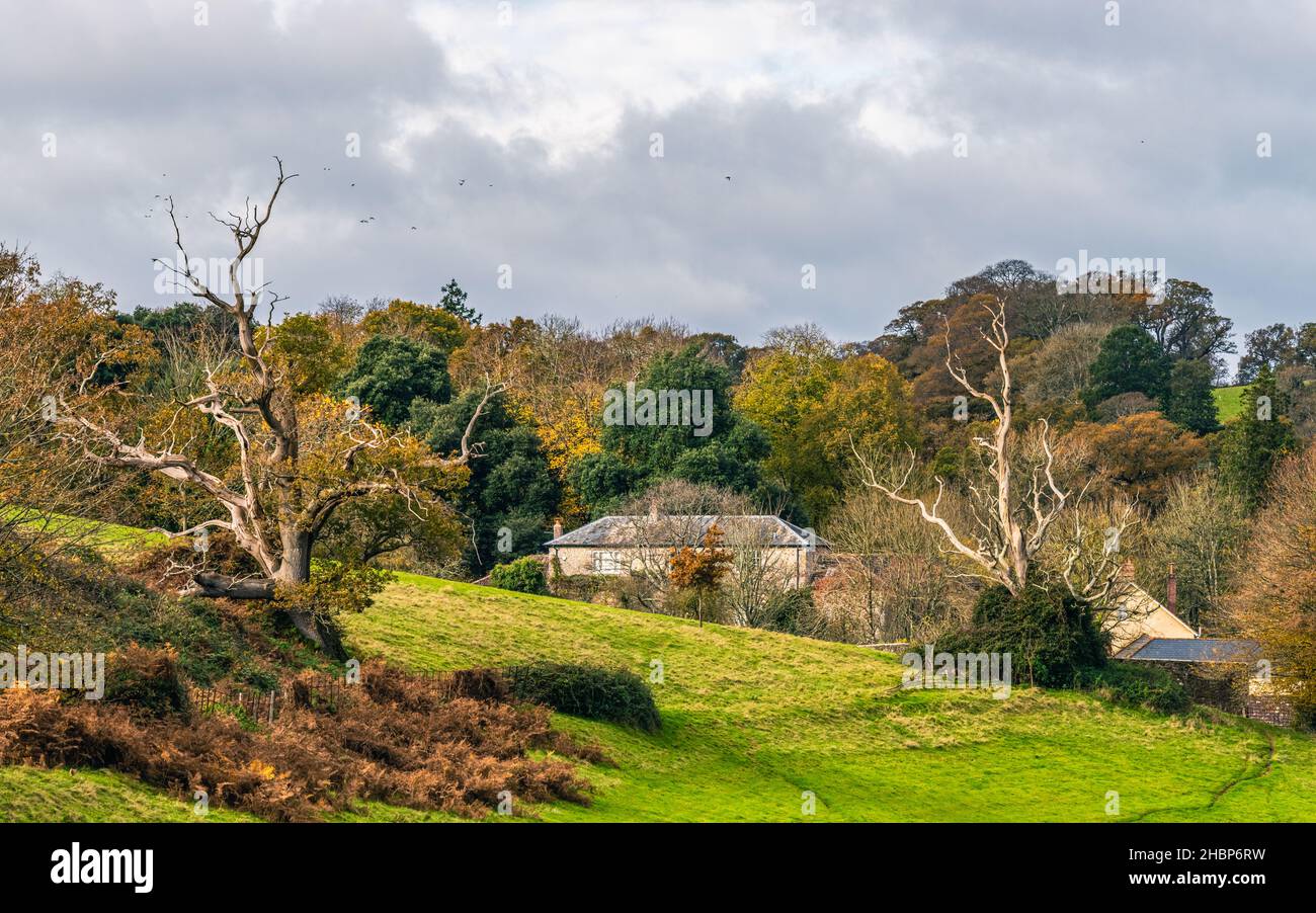 Top down panorama over Ugbrooke House and Gardens from a drone in the ...