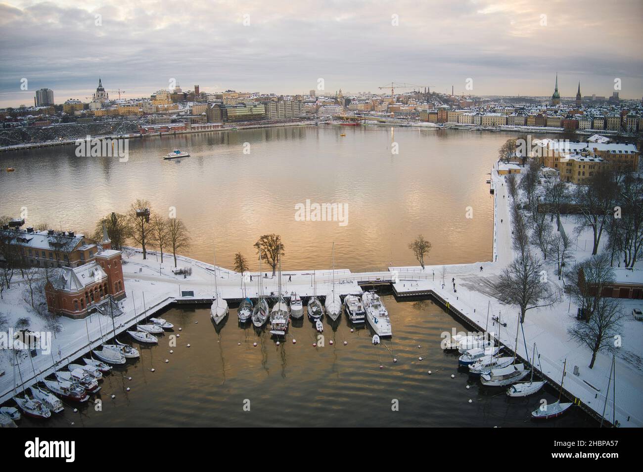 Stockholm snow tree winter cold hi-res stock photography and images - Alamy