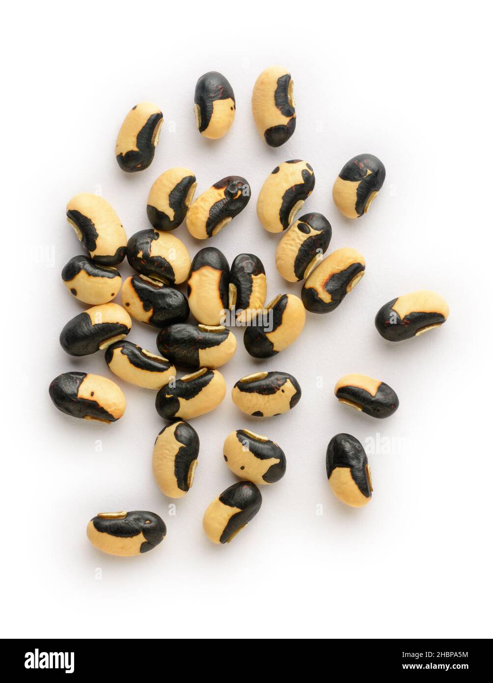 wild bushbean seeds, also known as phasey bean, isolated on white ...