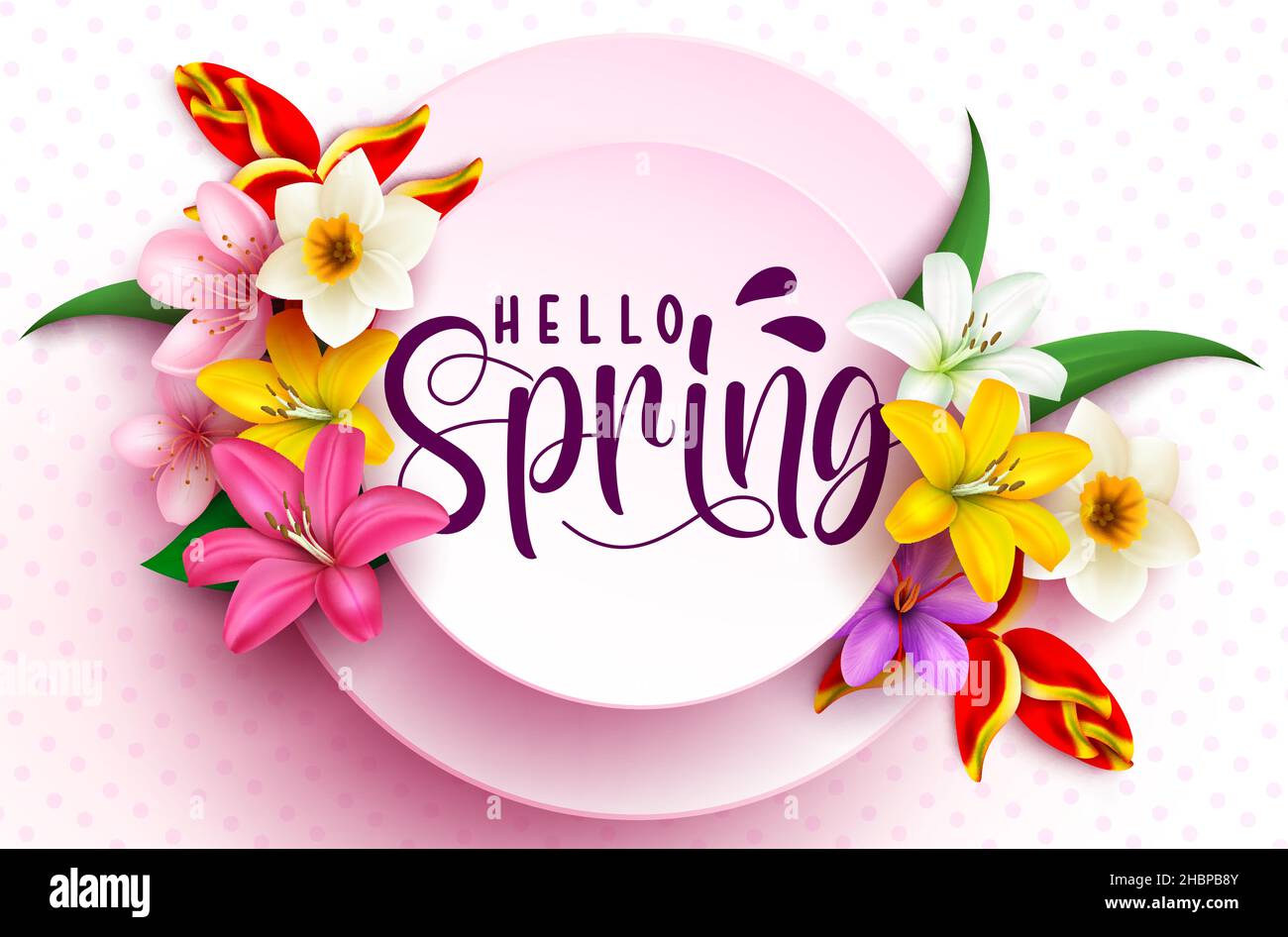 Hello spring vector template design. Hello spring greeting text in pink ...