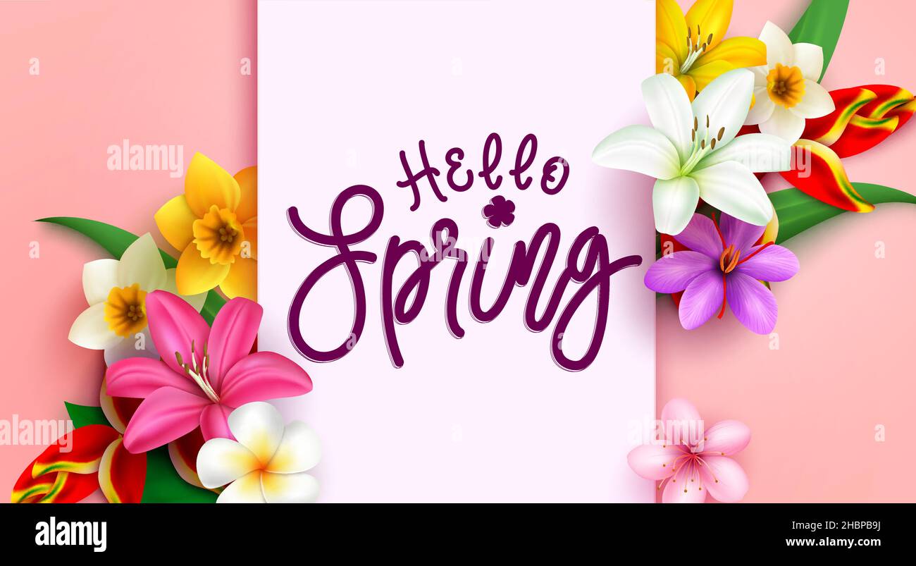 Hello spring vector template design. Hello spring typography text in ...