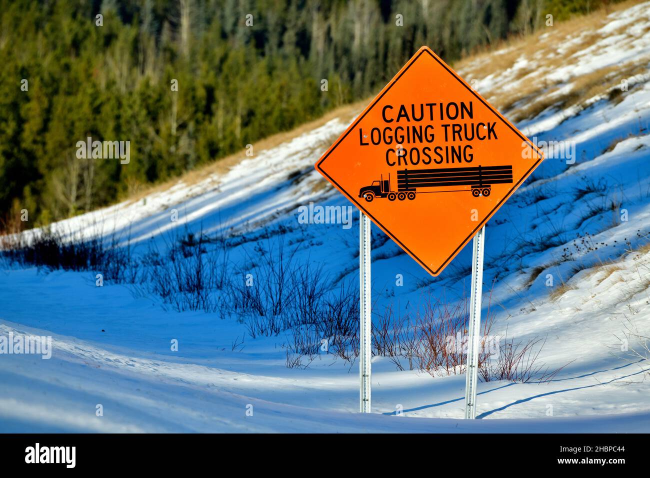 Log truck crossing hi-res stock photography and images - Alamy