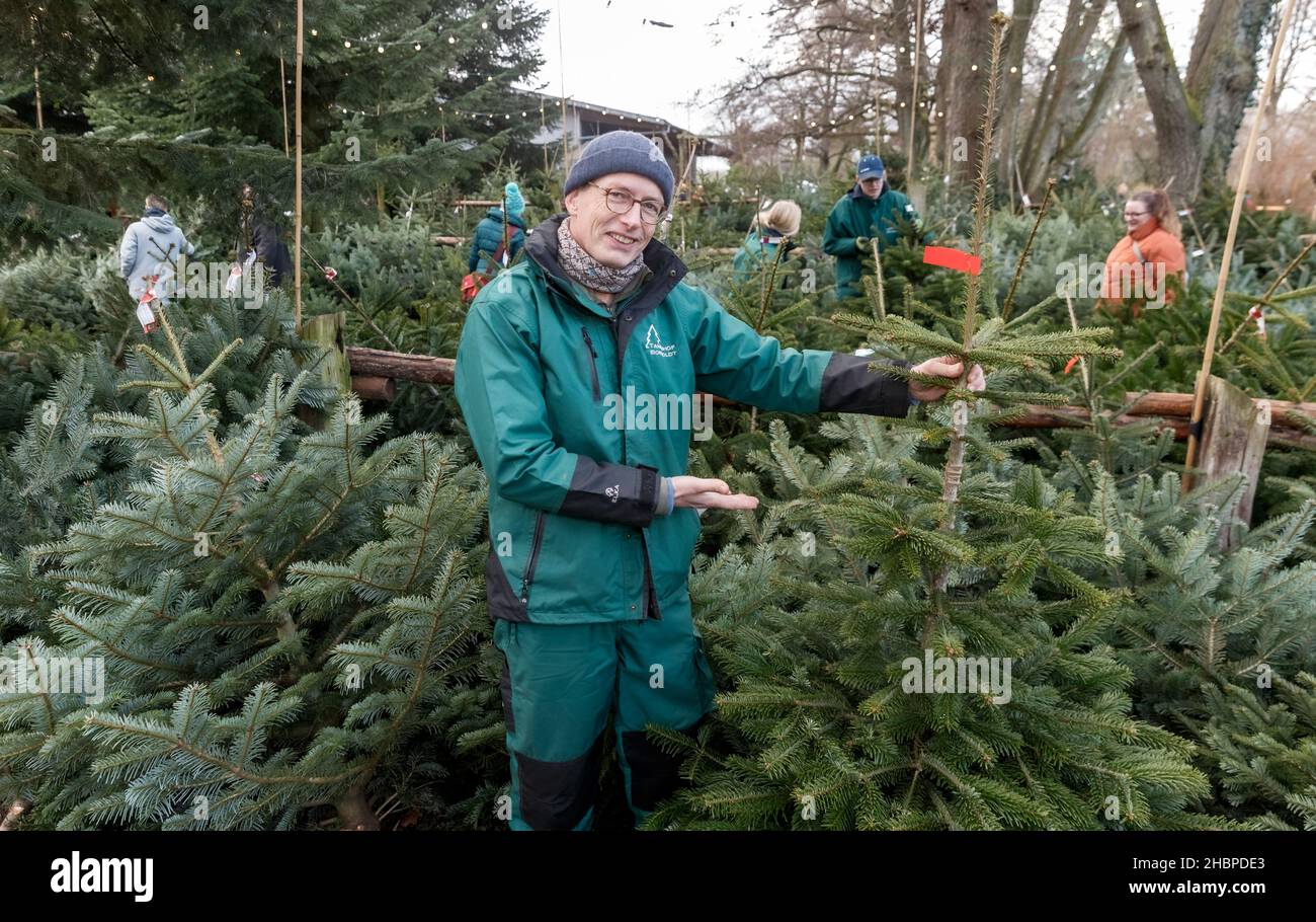 2021 forester hi-res stock photography and images - Alamy