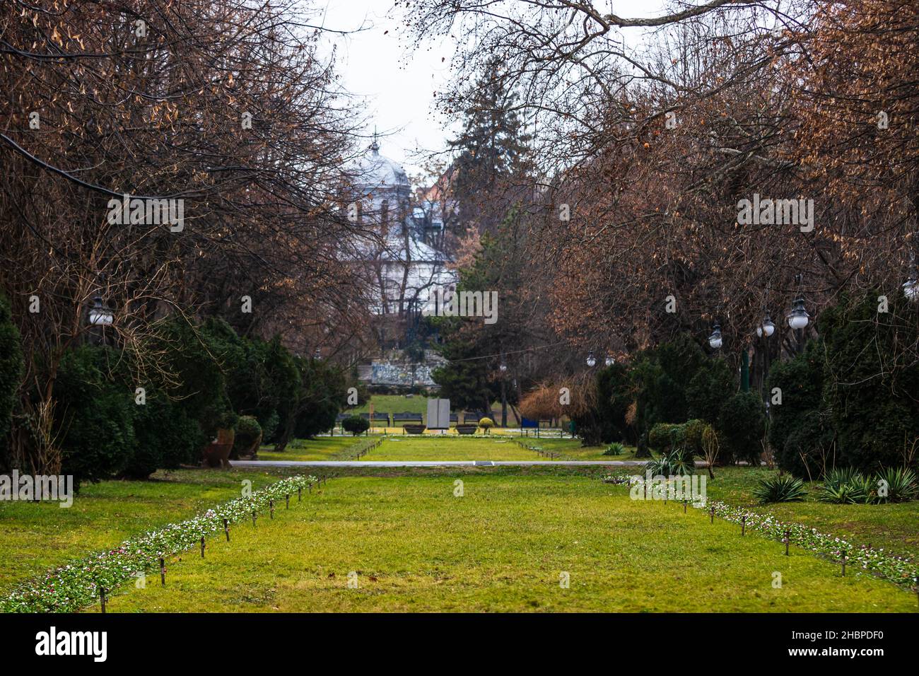 Closeup shot park on hi-res stock photography and images - Alamy