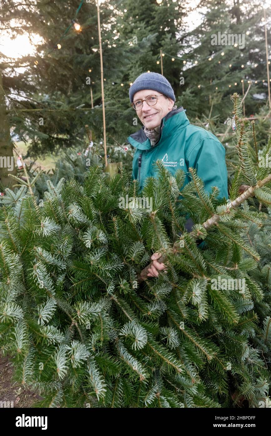 2021 forester hi-res stock photography and images - Alamy