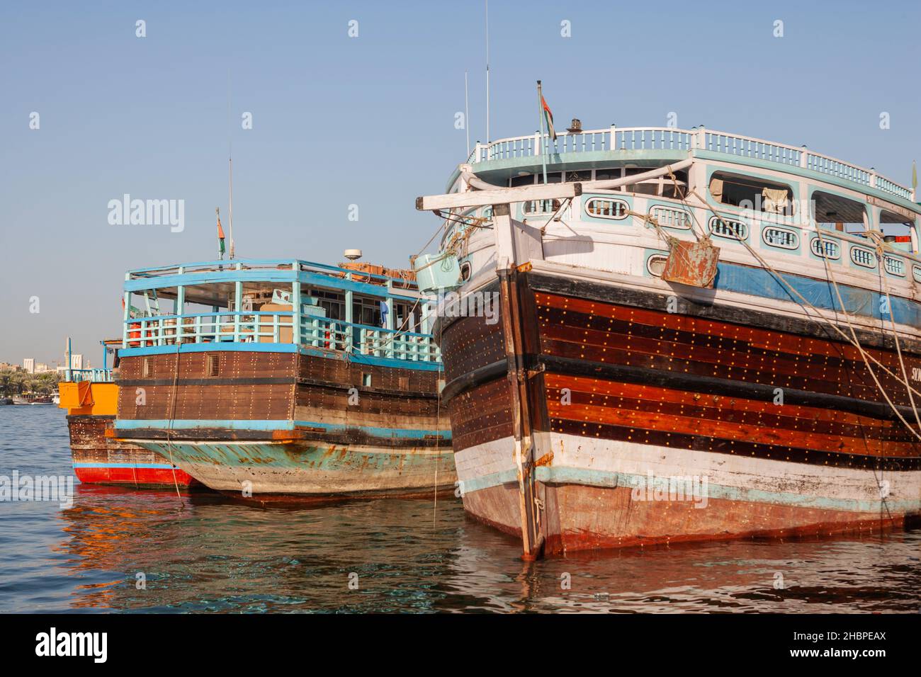 Sterns In High Resolution Stock Photography and Images - Alamy