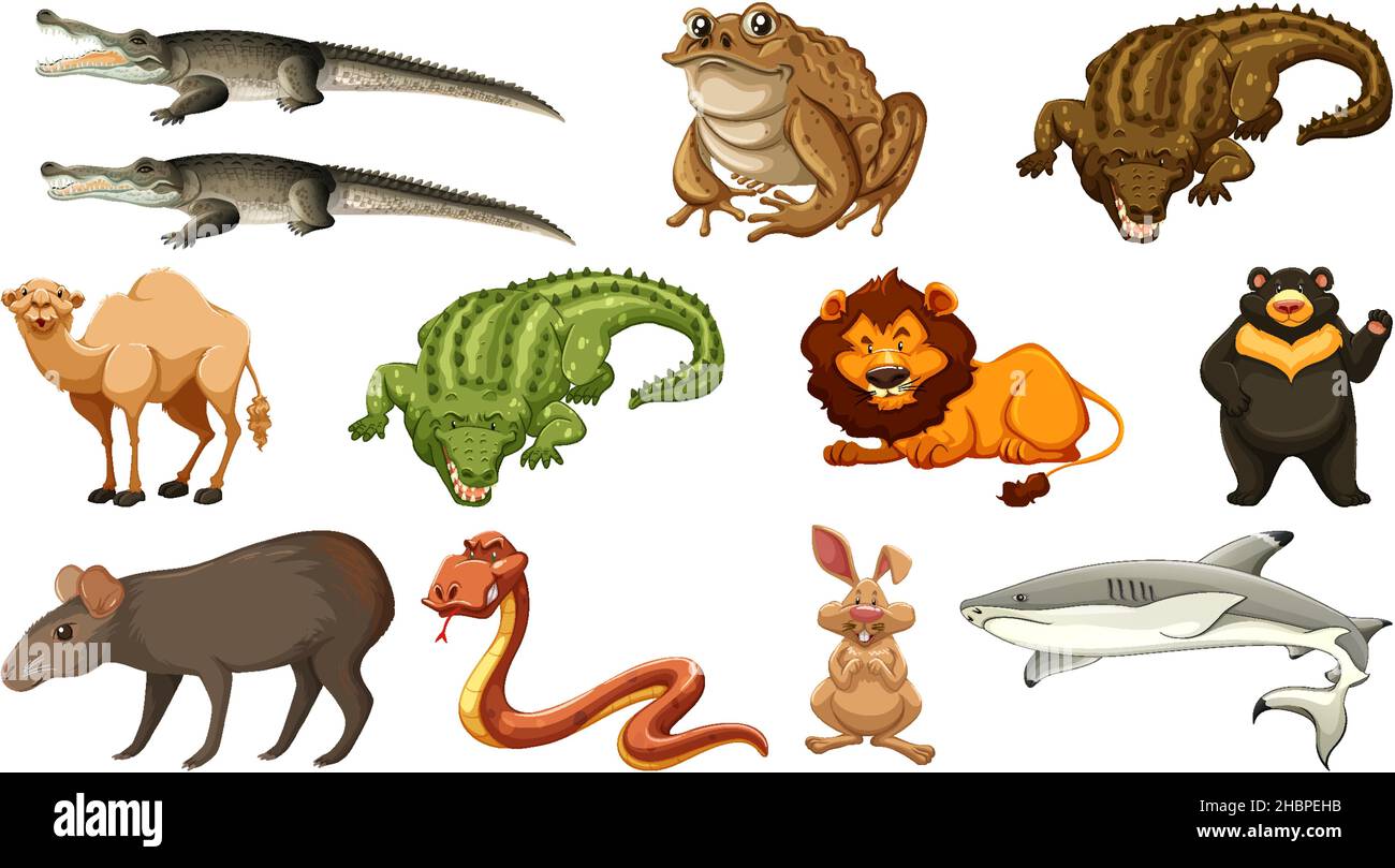 Set of different wild animals cartoon characters illustration Stock ...