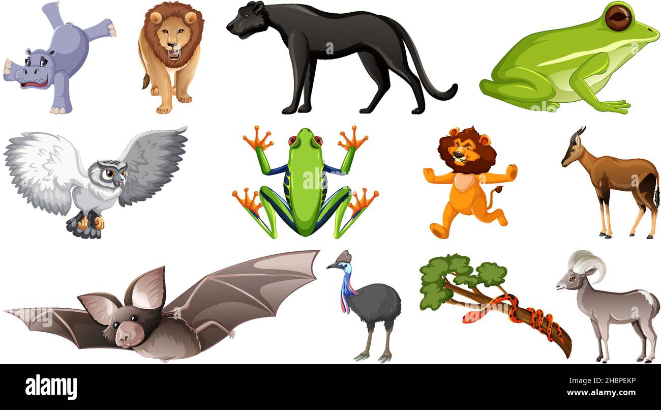 Set of different wild animals cartoon characters illustration Stock ...