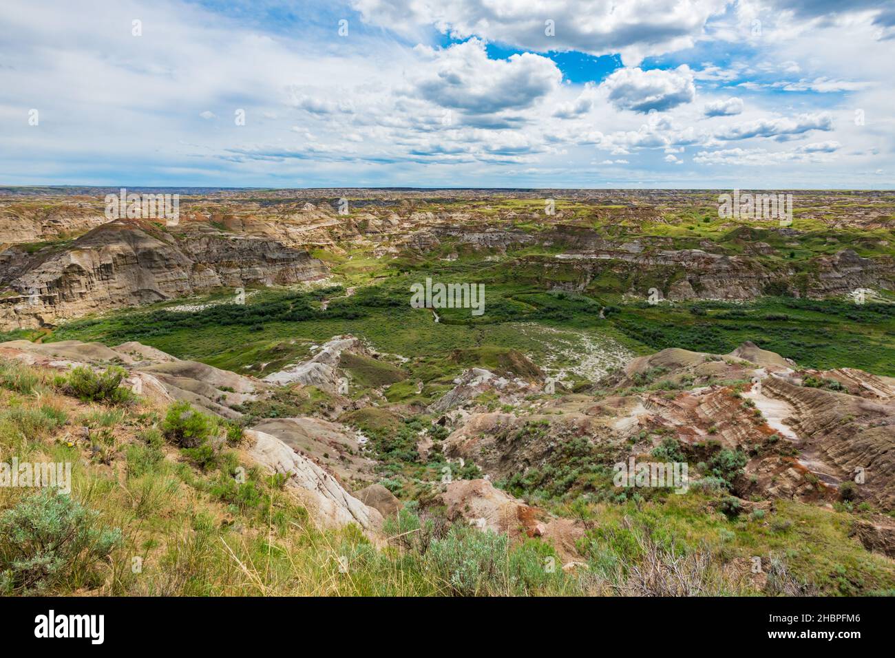 Scenic Dinosaur Provincial Park in the arid badlands of Alberta Canada ...