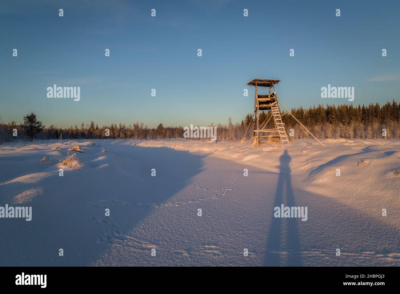 Hunting tower in winter hi-res stock photography and images - Alamy