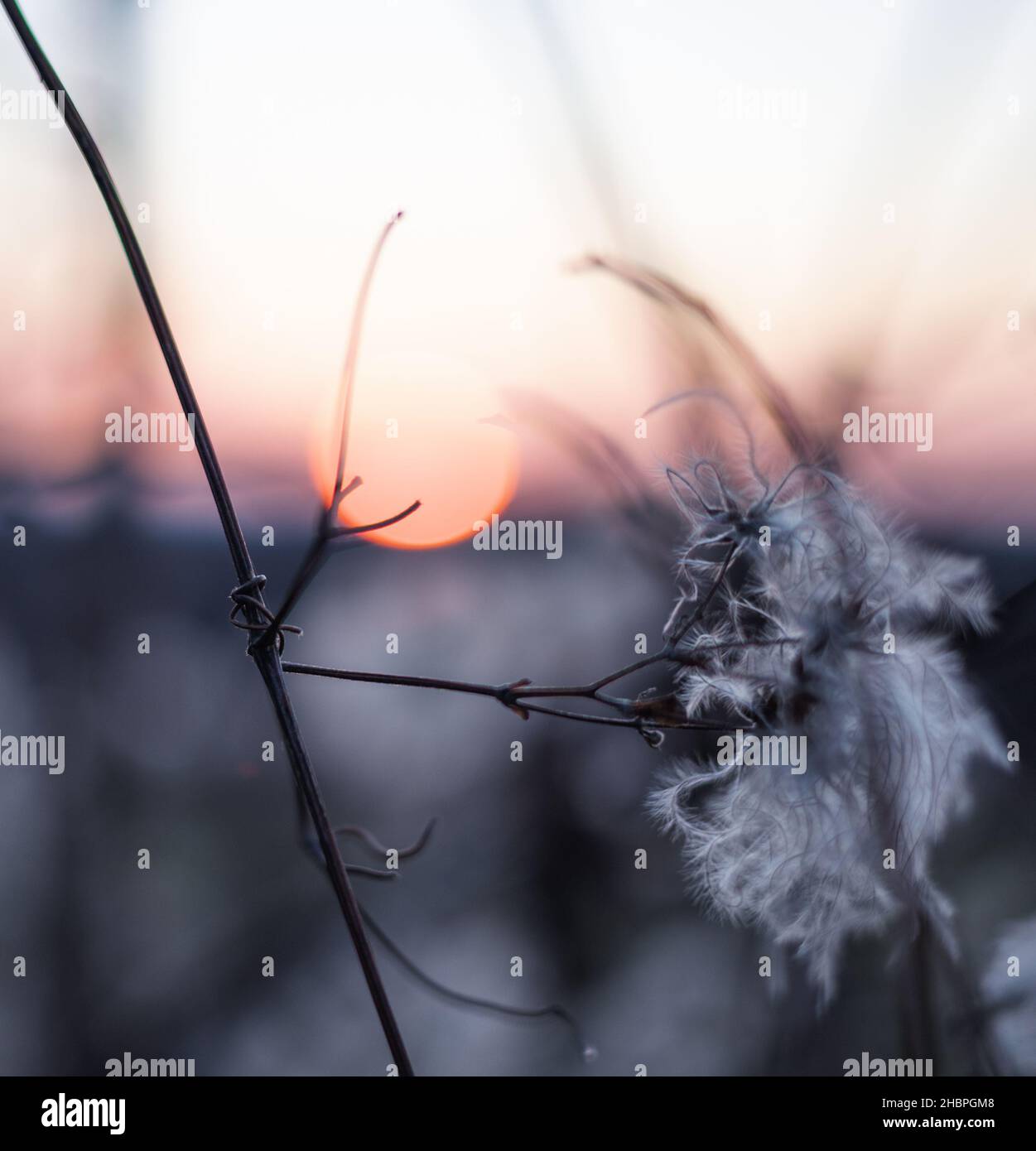 The Sun Goes Down..Very emotional shot for me Stock Photo - Alamy