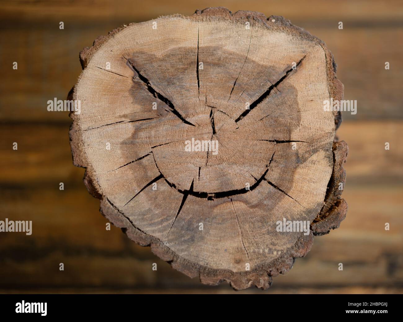 The Devil Tree Stock Photo - Alamy