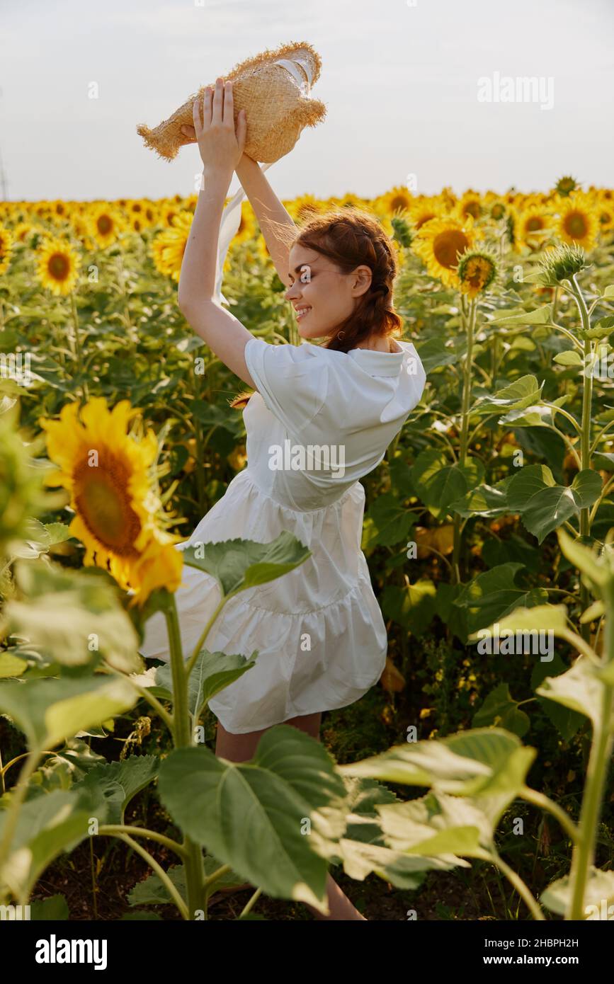 woman with two pigtails walks through a field of sunflowers unaltered ...