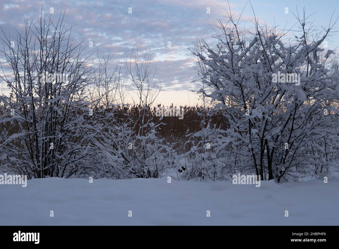 Snowy tranquility hi-res stock photography and images - Alamy