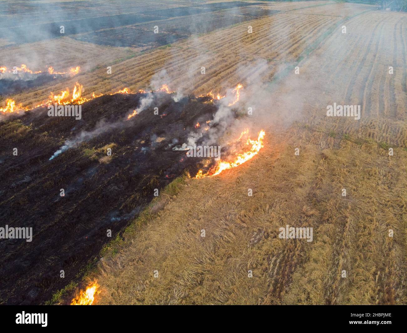 Aerial view burning wheat field hi-res stock photography and images - Alamy