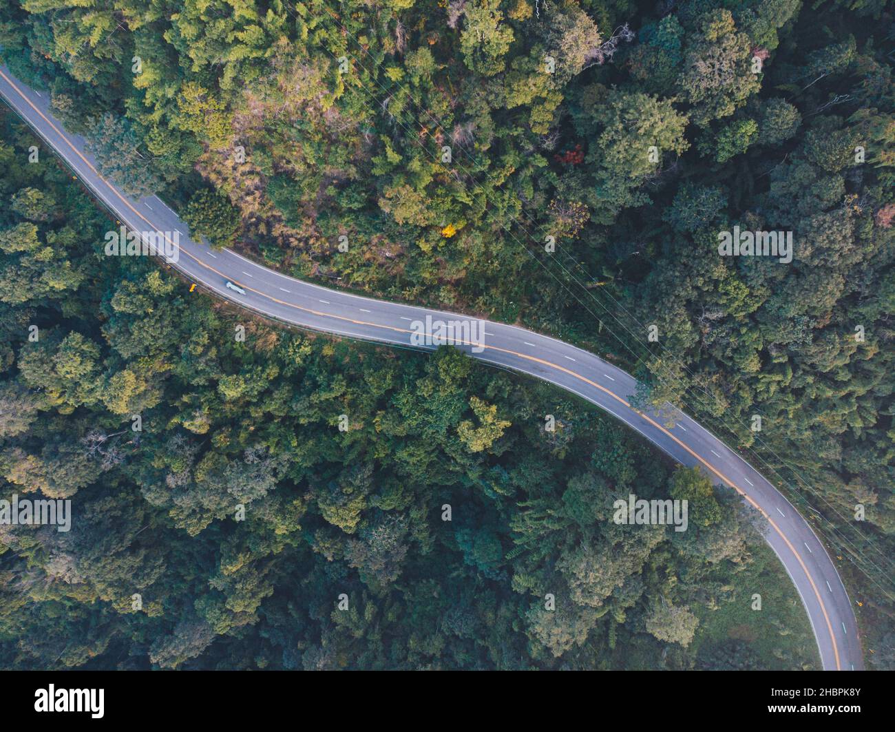 Adventure curve highway road on mountain surround by green forest ...