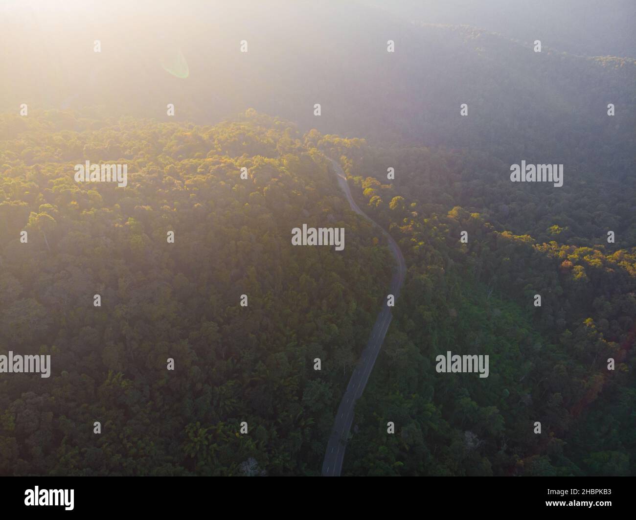 Asphalt road mountain green tree forest nature transport aerial view ...