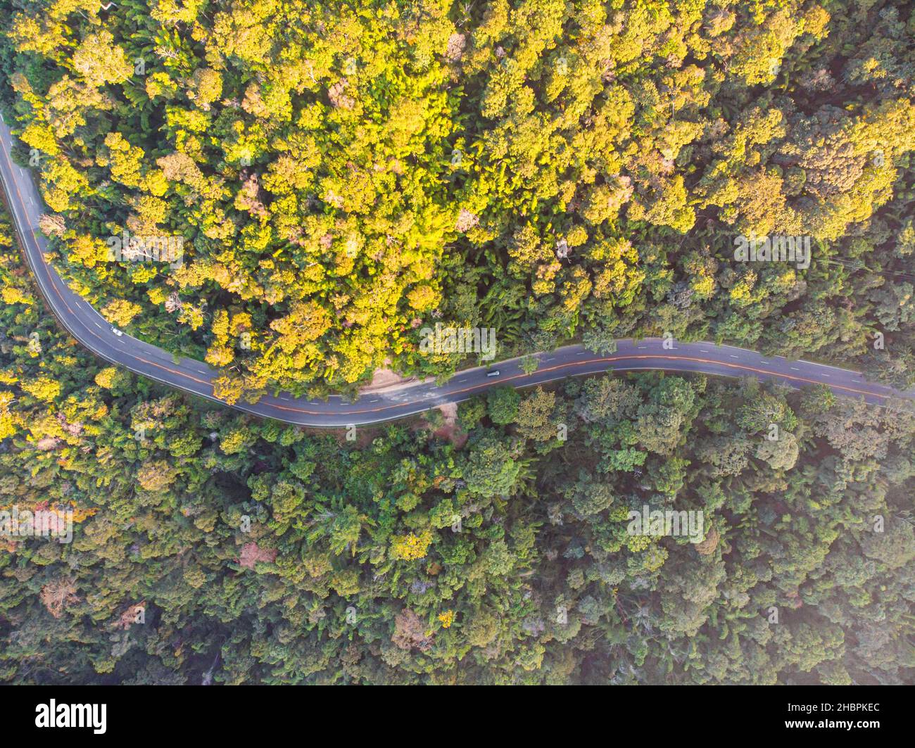 Asphalt road mountain green tree forest nature transport aerial view ...