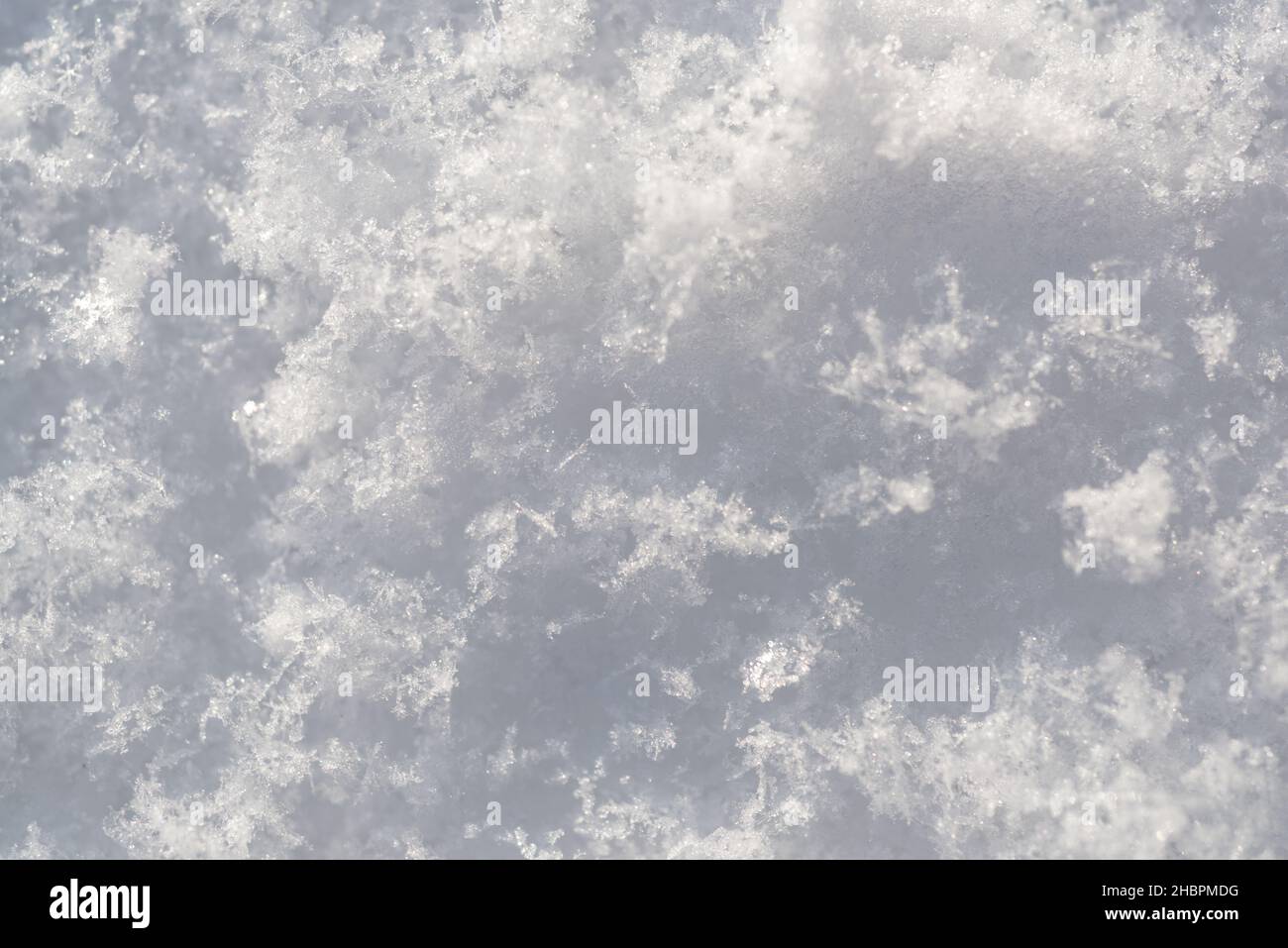 Snow background, snow texture. Top view of the snow. Winter texture for ...