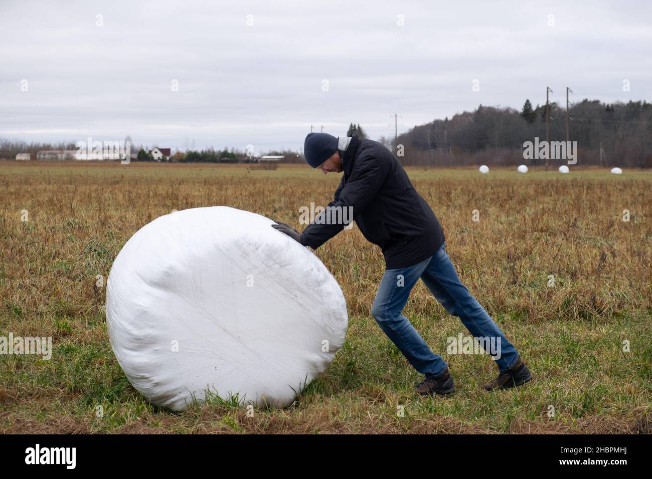 Farmer and haystacks packed for winter. High quality photo Stock Photo ...