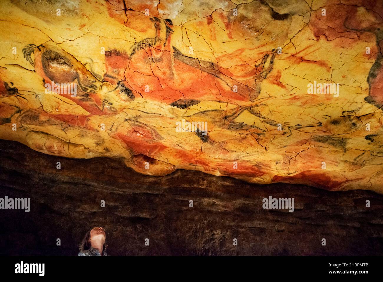 Paleolithic tools and replica of cave painting showing bison, National ...