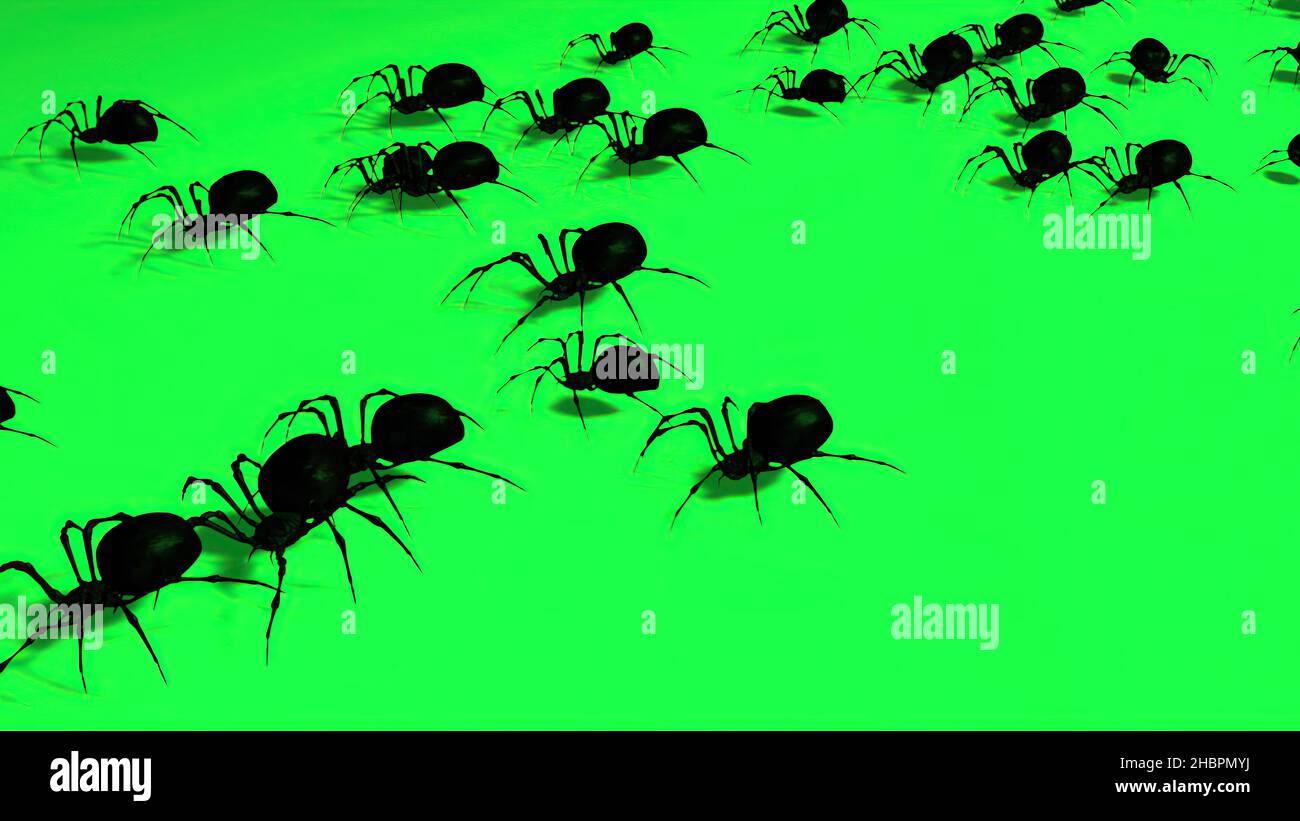 Chroma bug background hi-res stock photography and images - Alamy