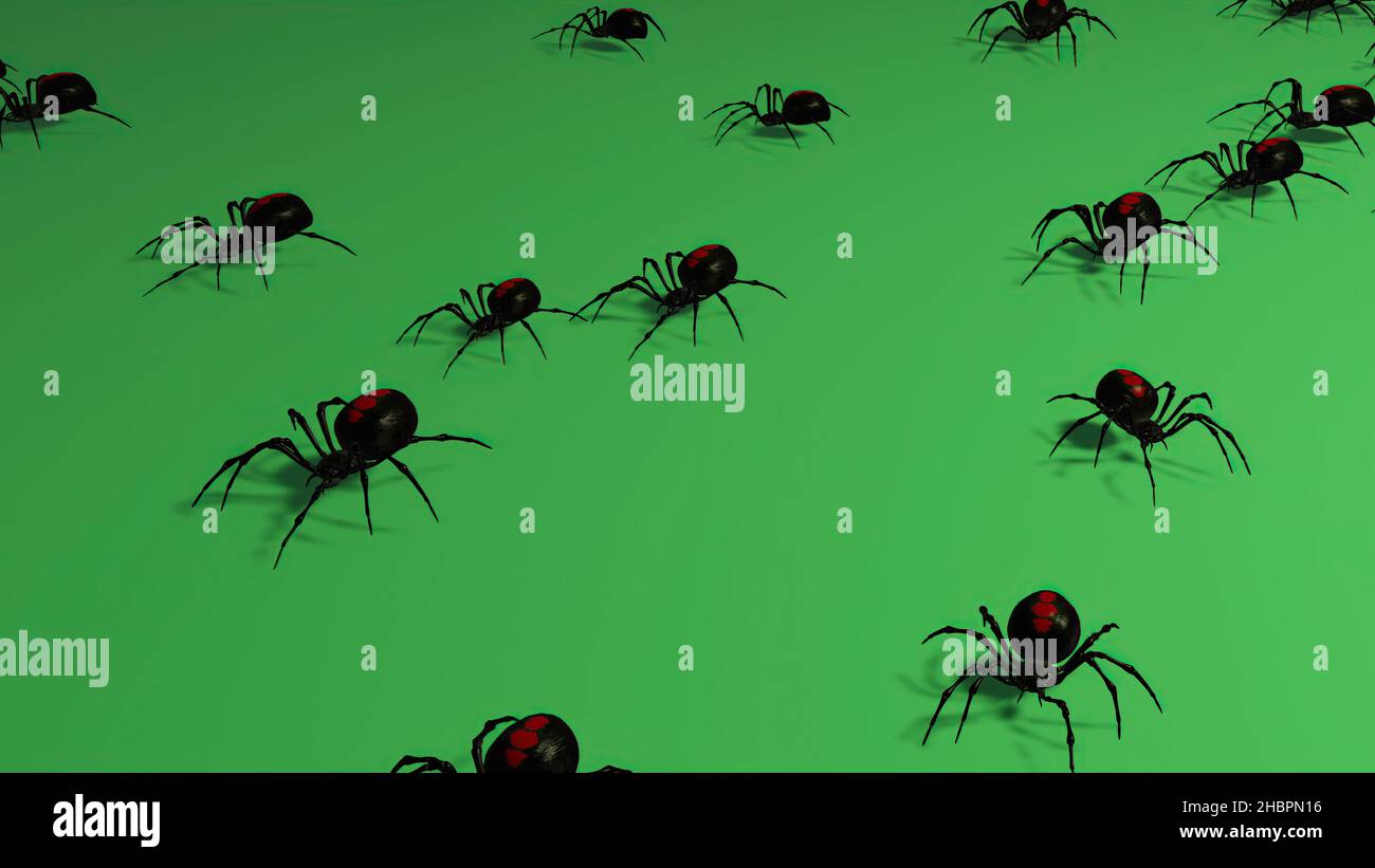 3d illustration - Spiders On Green Background. Creepy Crawling Stock ...