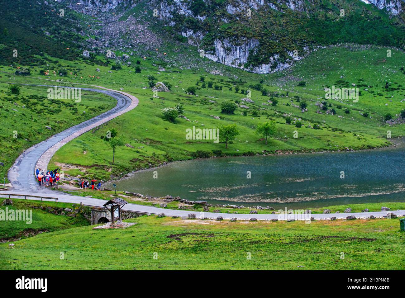 Picos de europa enol see hi-res stock photography and images - Alamy