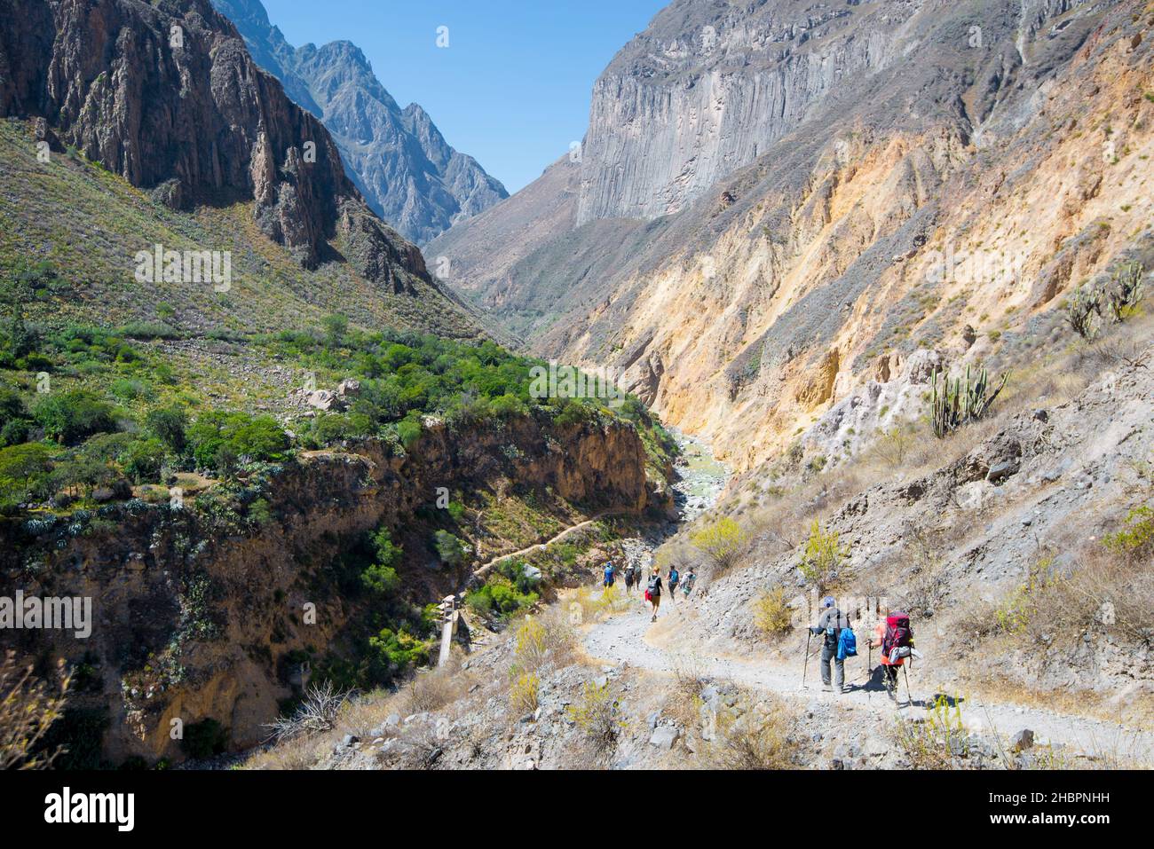 Tourists are trekking in Colca Canyon valley along Colca River ...