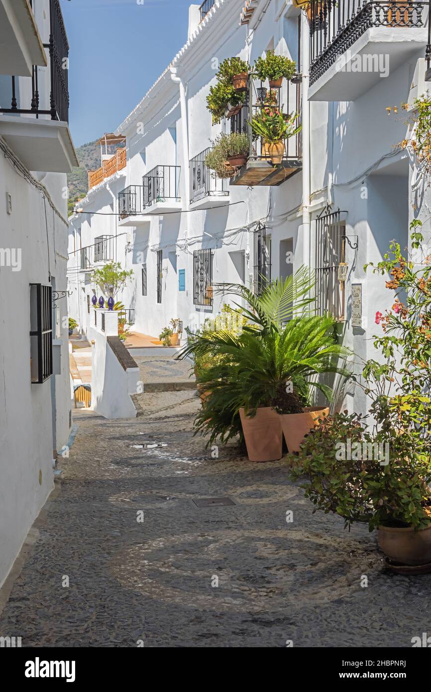 Shady street hi-res stock photography and images - Alamy