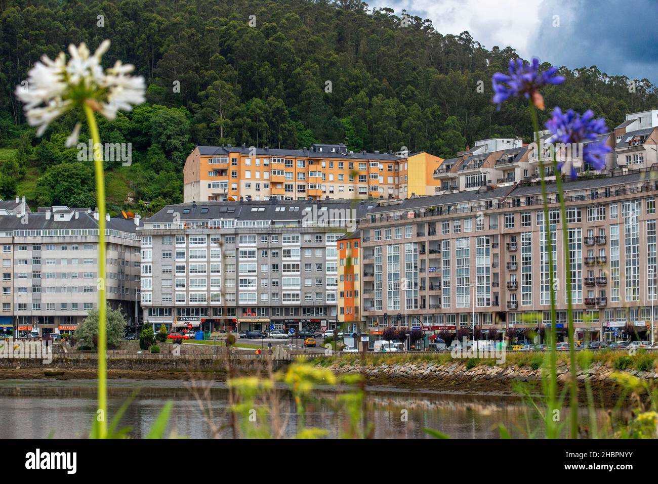 View of Viveiro village and Viveiro stuary and dwelling houses. Lugo ...