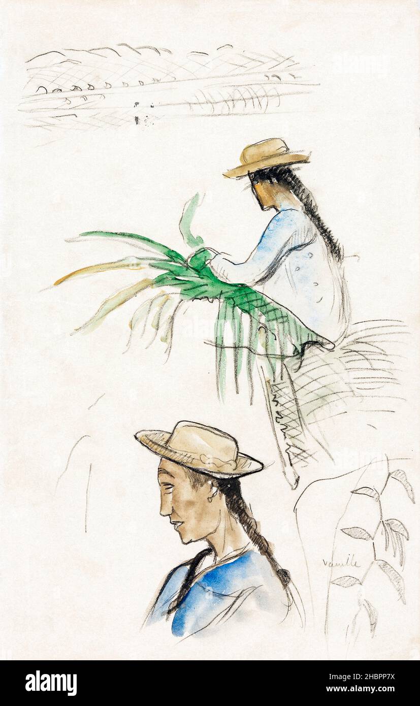 Sketches of Figures, Pandanus Leaf, and Vanilla Plant (ca. 1891-1893 ...