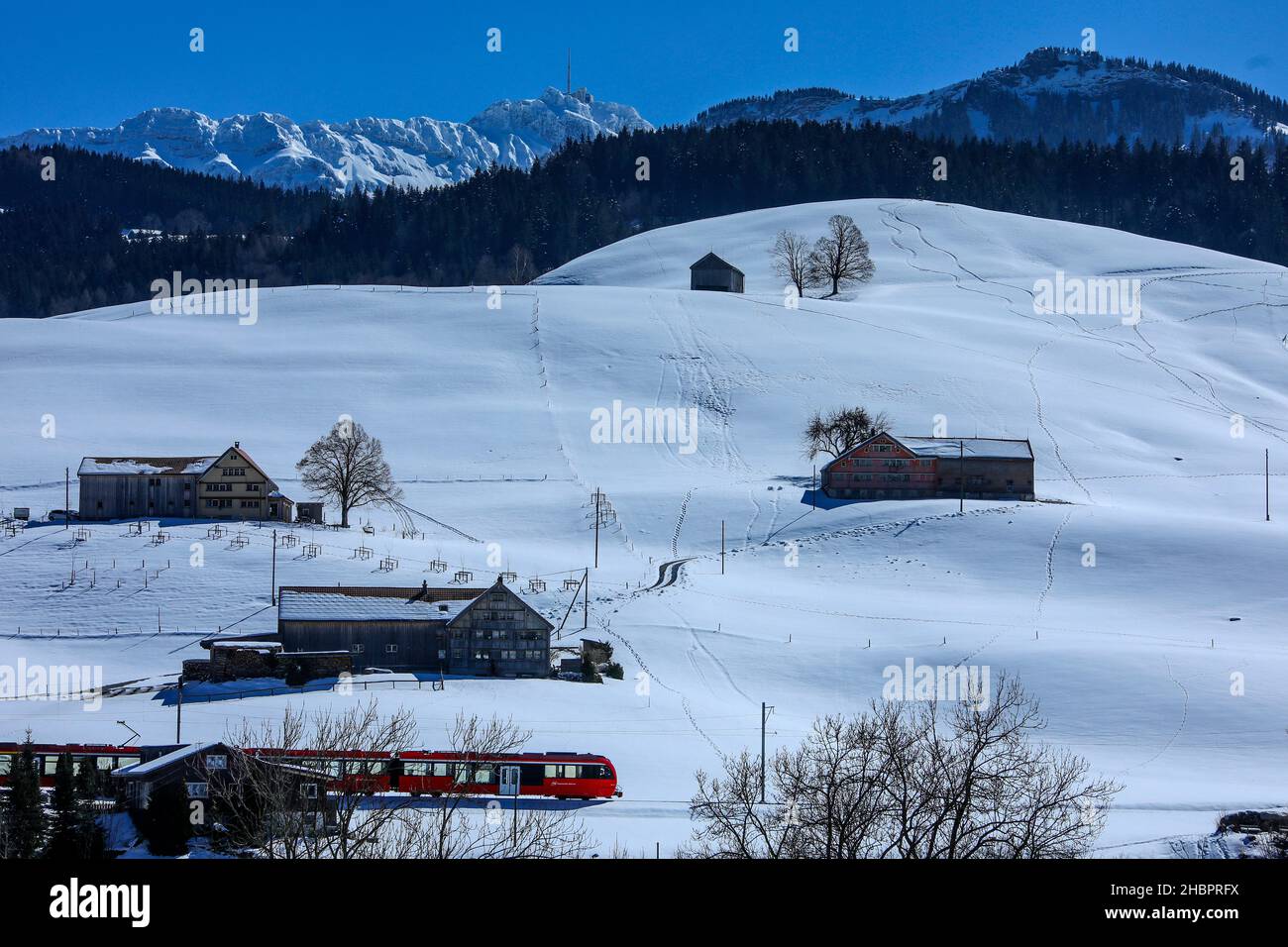 Appenzeller Bahn bei Urnäsch mit Säntis Stock Photo - Alamy
