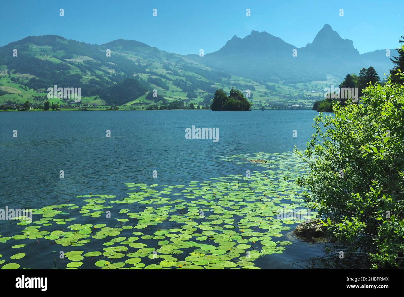 Lauerzersee mit Mythen Stock Photo - Alamy