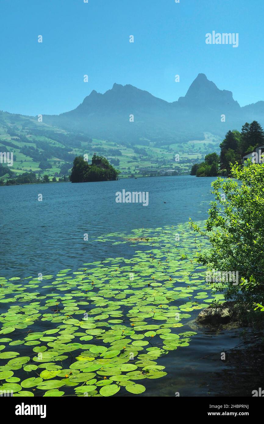 Lauerzersee mit Mythen Stock Photo - Alamy