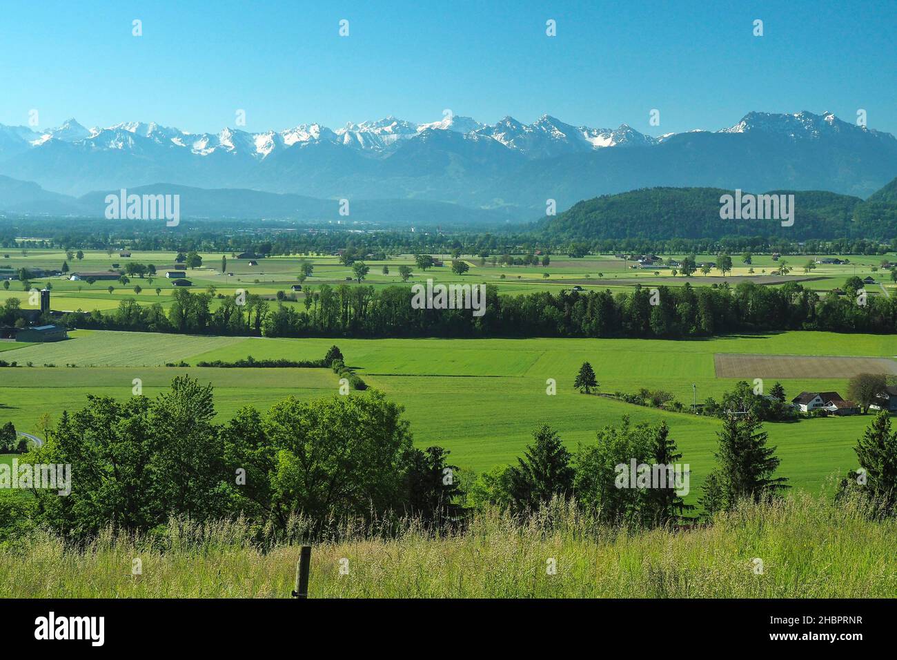 Eichberg und Hinterforst SG Stock Photo - Alamy